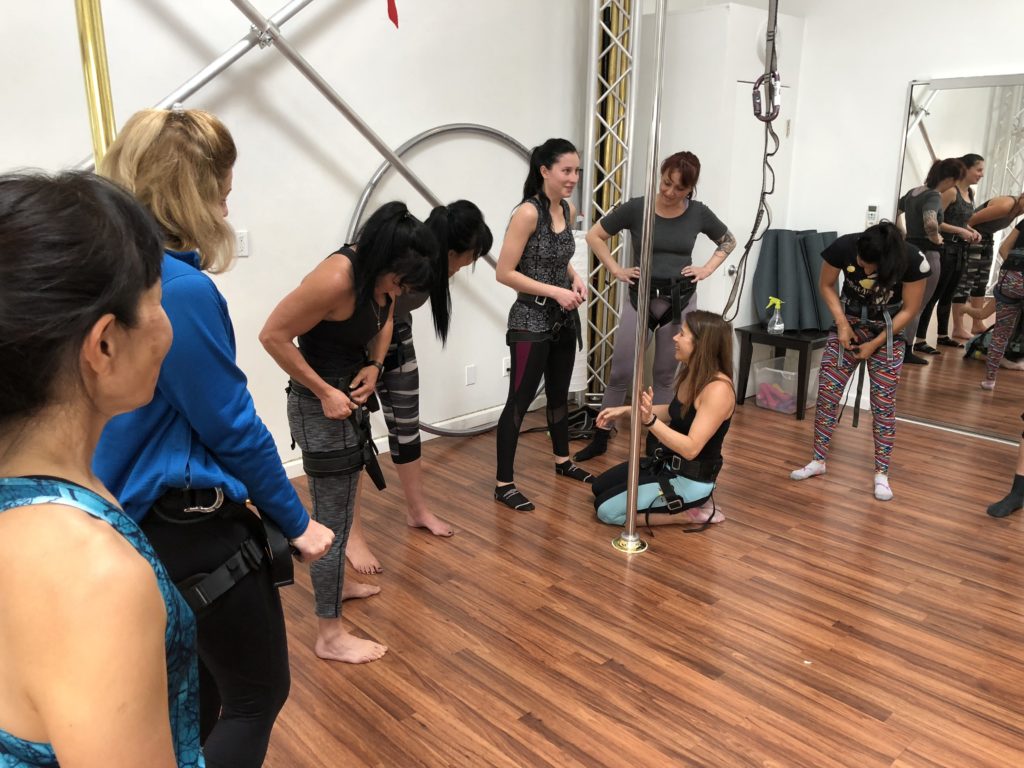 Grounded Aerial® Bungee Training | GROUNDED AERIAL